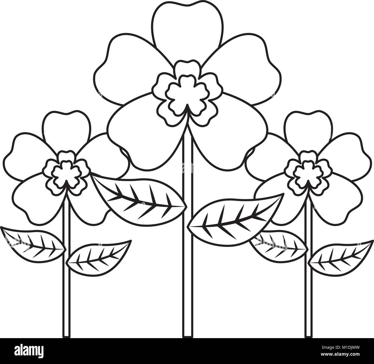 decoration three rose stem petal flower leaf botanical vector ...