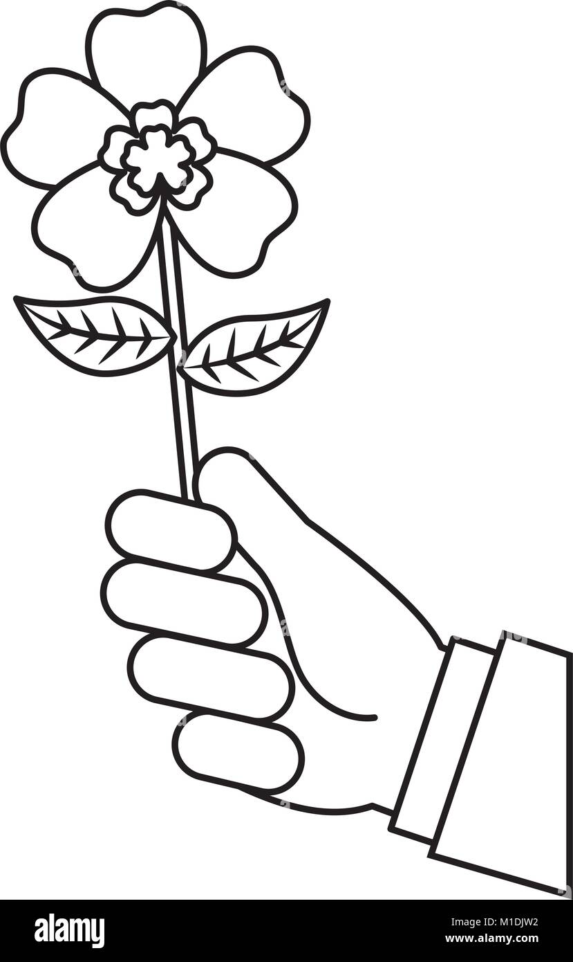 hand holding beautiful flower nature vector illustration Stock Vector ...