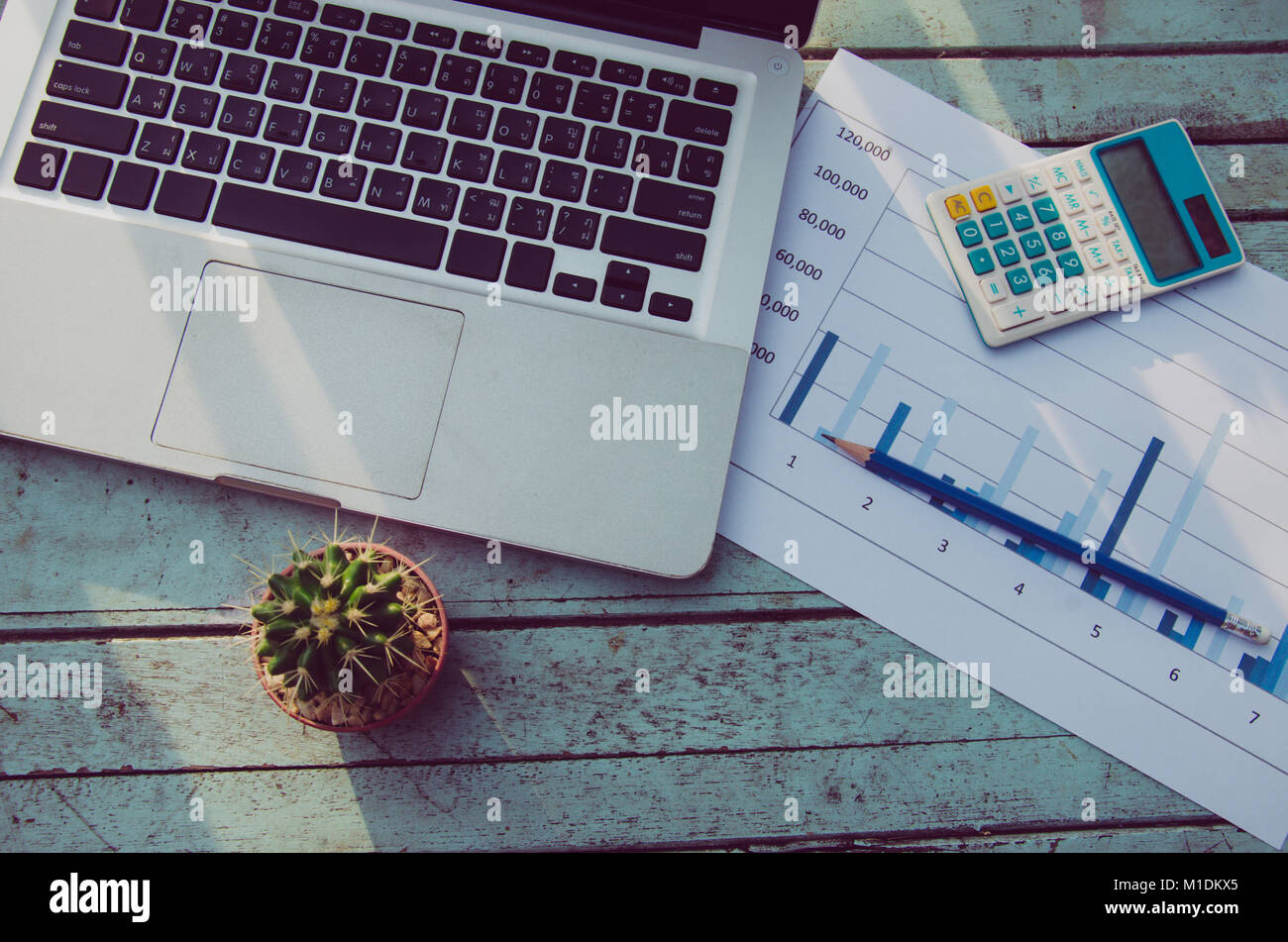 Cactus diagram hi-res stock photography and images - Alamy