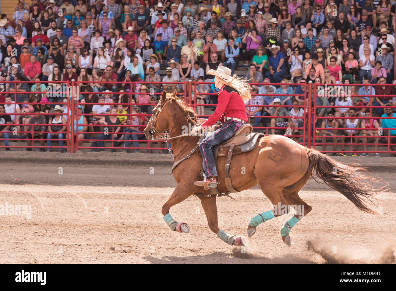Horse racing crowd spectators audience hi-res stock photography and ...