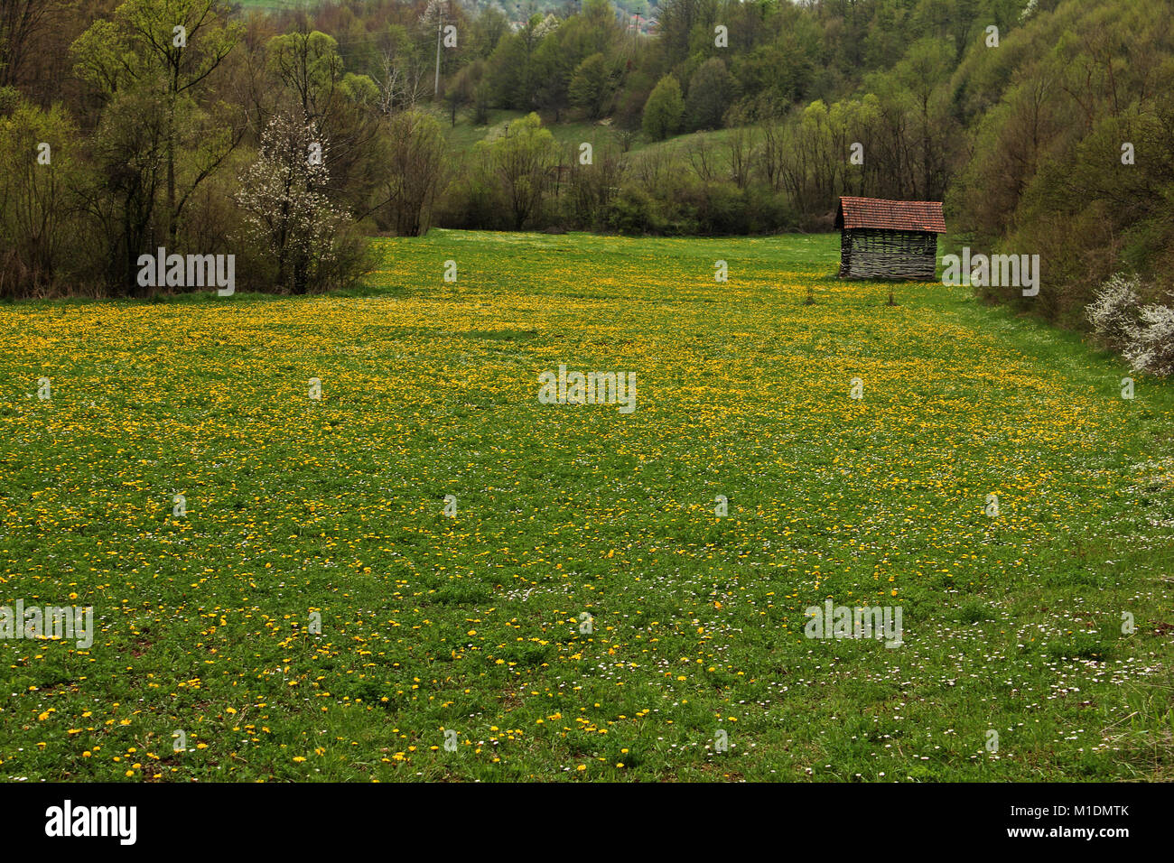 Village in spring Stock Photo - Alamy