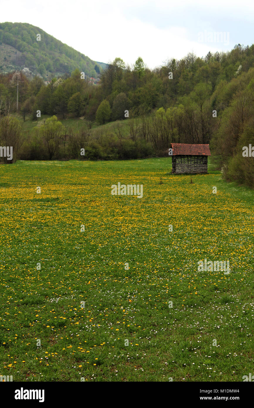 Village in spring Stock Photo - Alamy