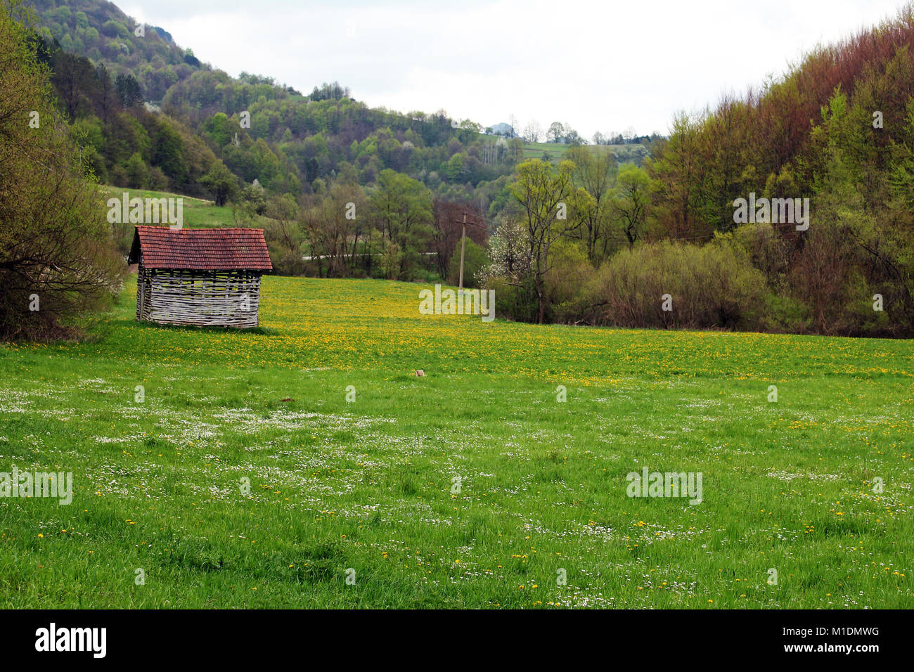 Village in spring Stock Photo - Alamy