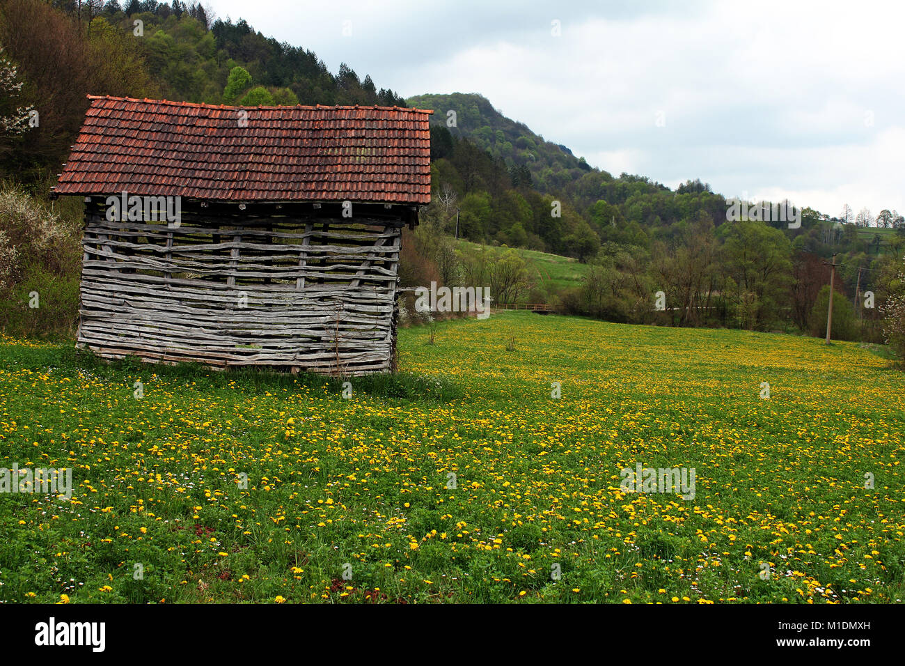 Village in spring Stock Photo - Alamy
