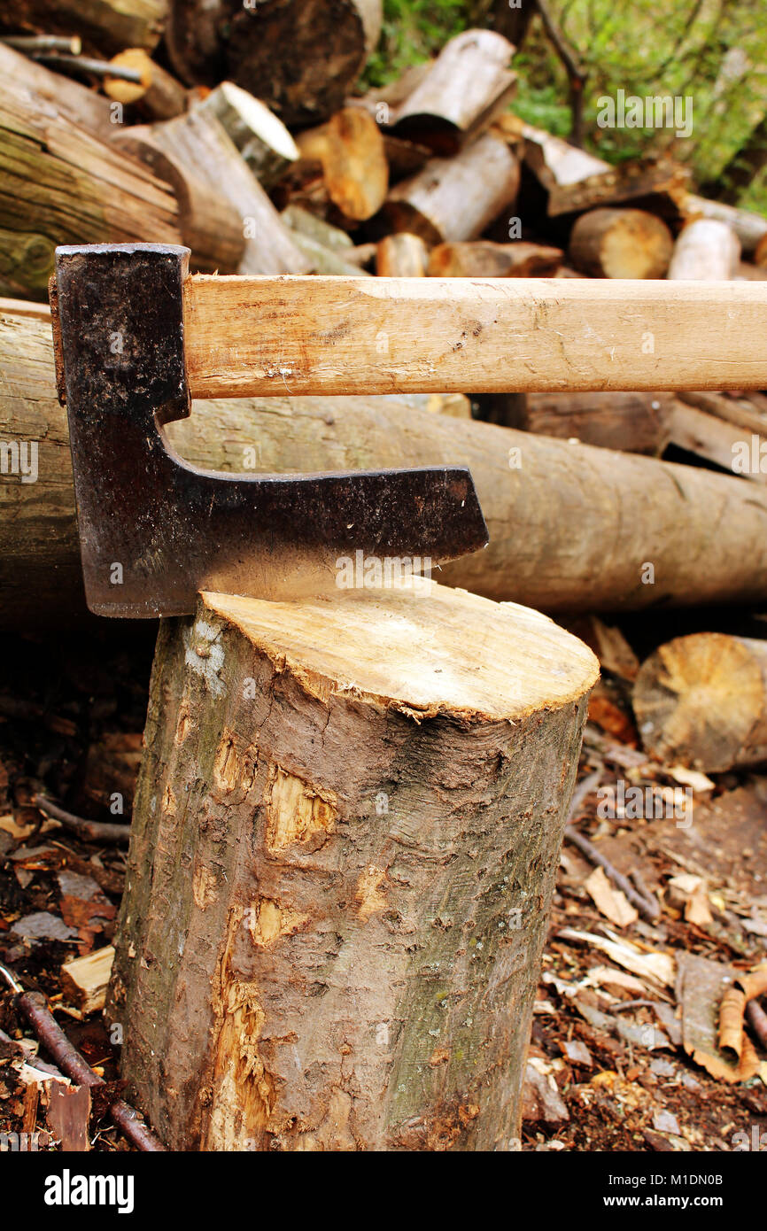 Axe in log Stock Photo - Alamy