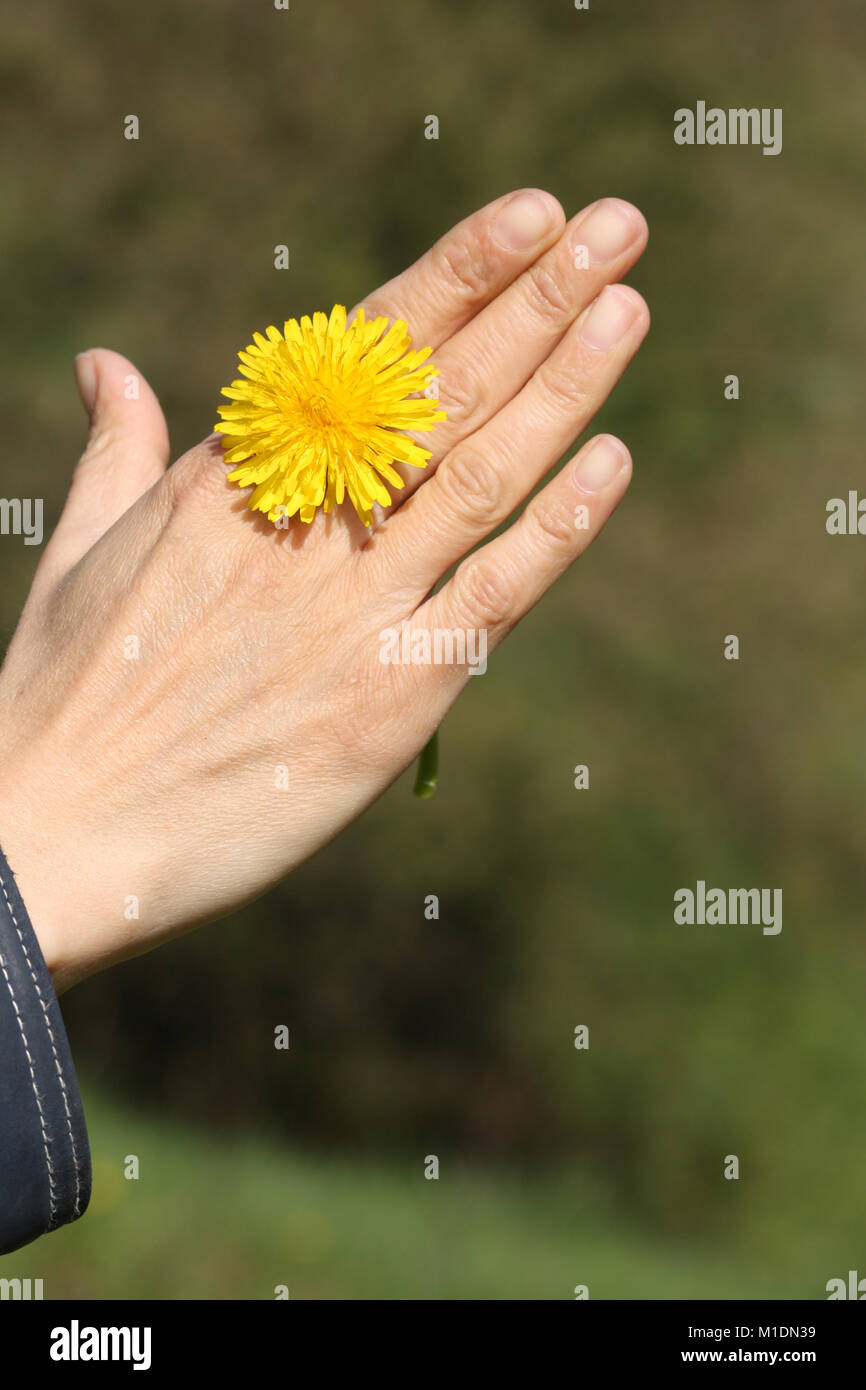 Hand with flower Stock Photo - Alamy