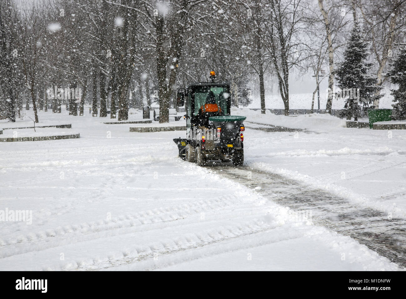 Snow cleaning buses in town during heavy snowfall Stock Photo - Alamy