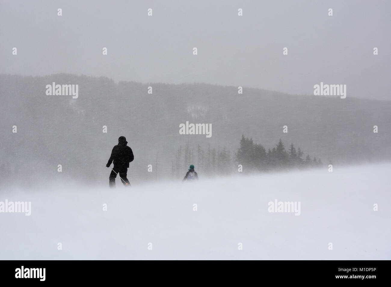 Skiers on a steep snowy slope, stormy weather in the winter mountain ...