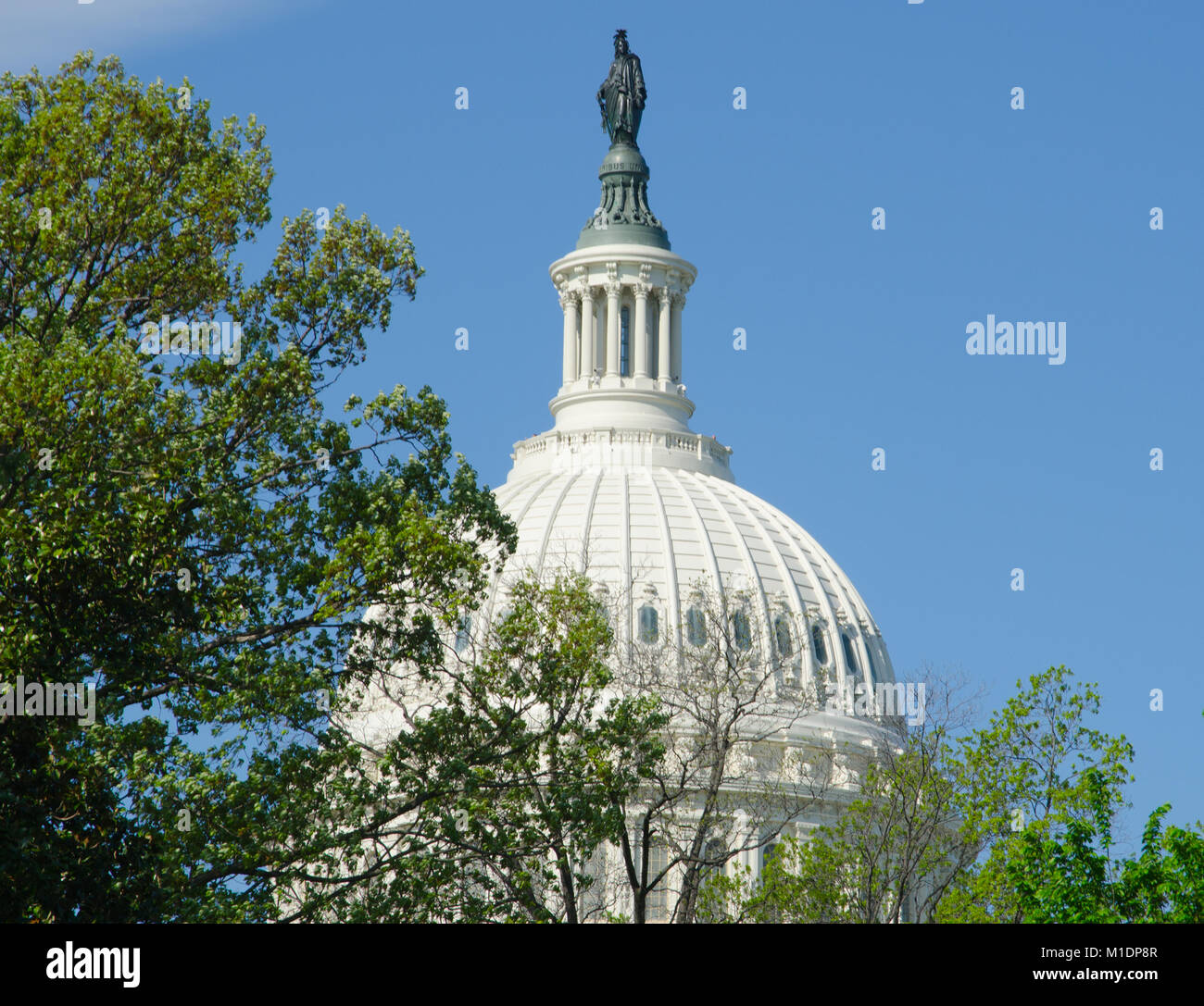 Dome of the US Capitol Building in Washington DC Stock Photo - Alamy