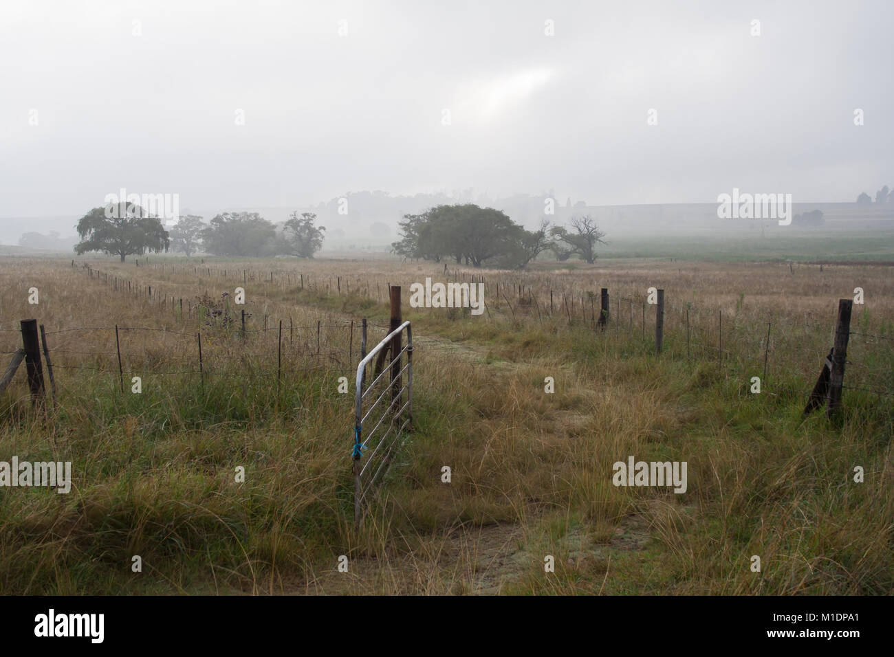 Open gate on the farm Stock Photo - Alamy