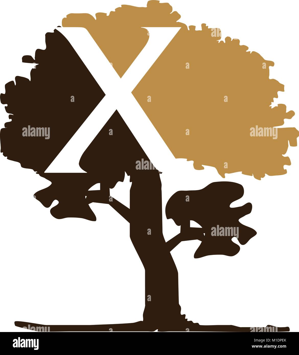 Letter x oak hi-res stock photography and images - Alamy