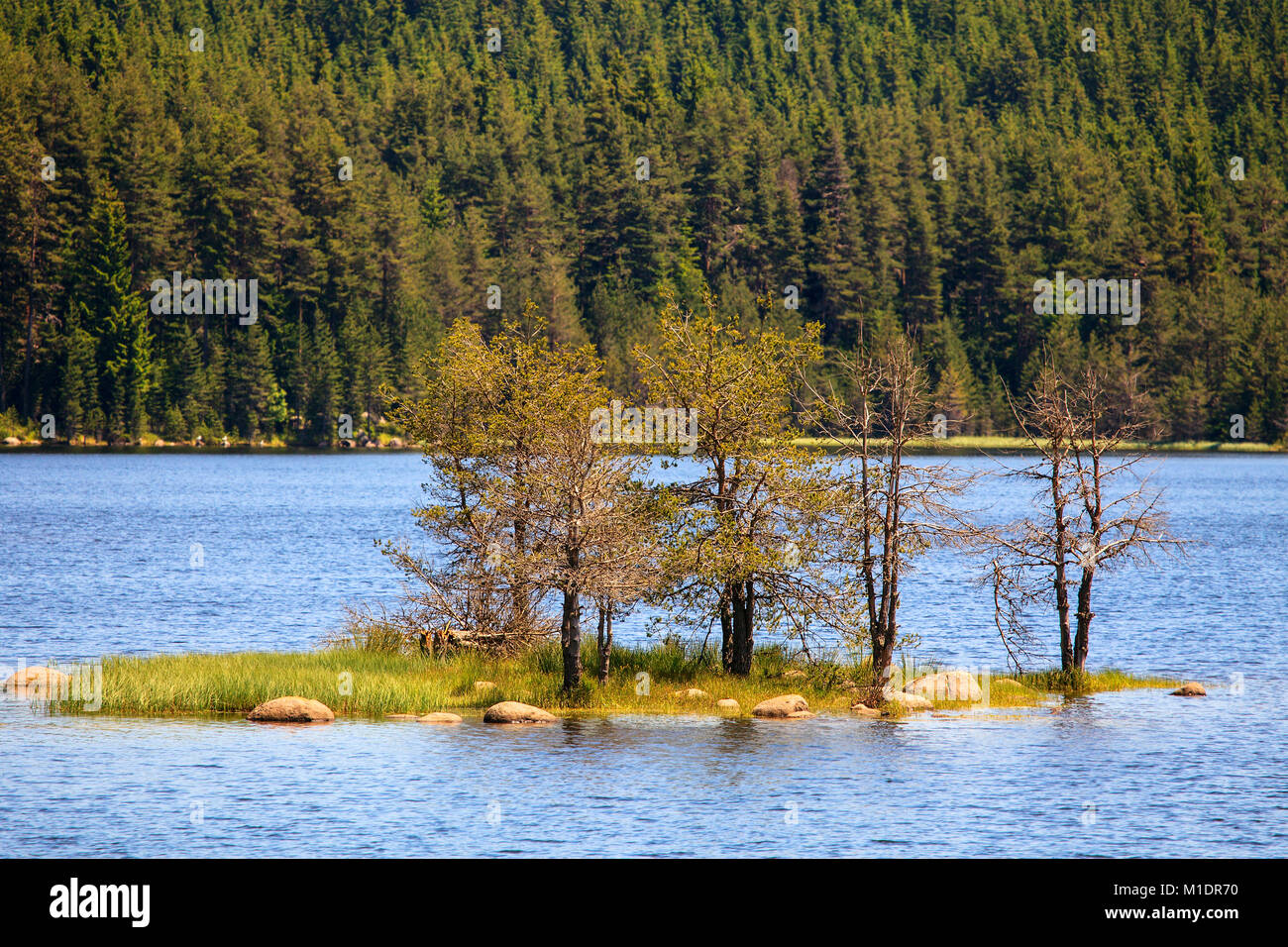 small island in beautiful bulgarian lake in Rhodope mountain Stock ...