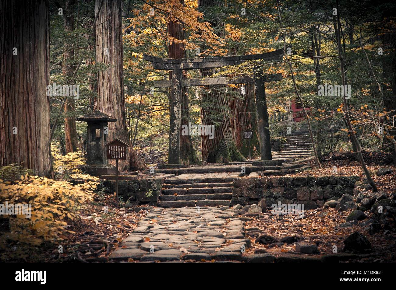 Stone path to a Shintoist sanctuary Stock Photo - Alamy