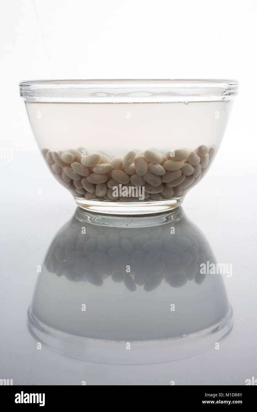 White beans soaked in water in glass bowl on white background with ...