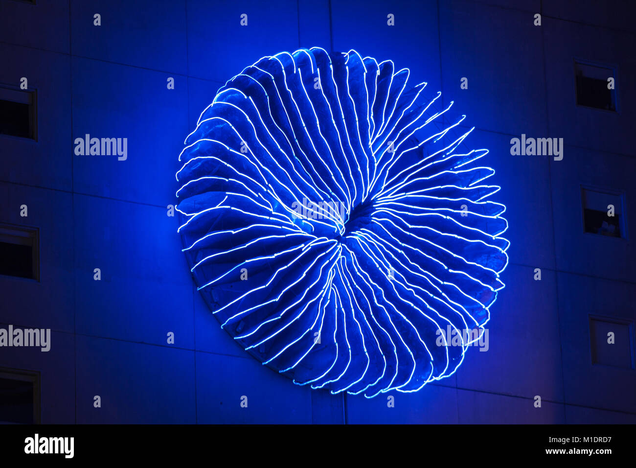 "Coral" by Peter Roche. Neon light sculpture in Auckland CBD Stock ...