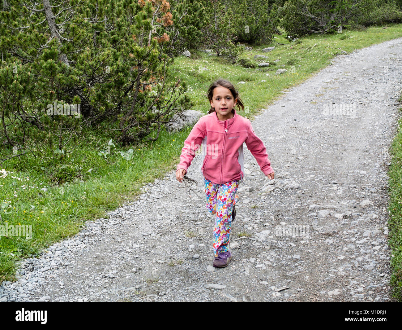 little girl walks on mountain trail among the pines summer hike in the ...