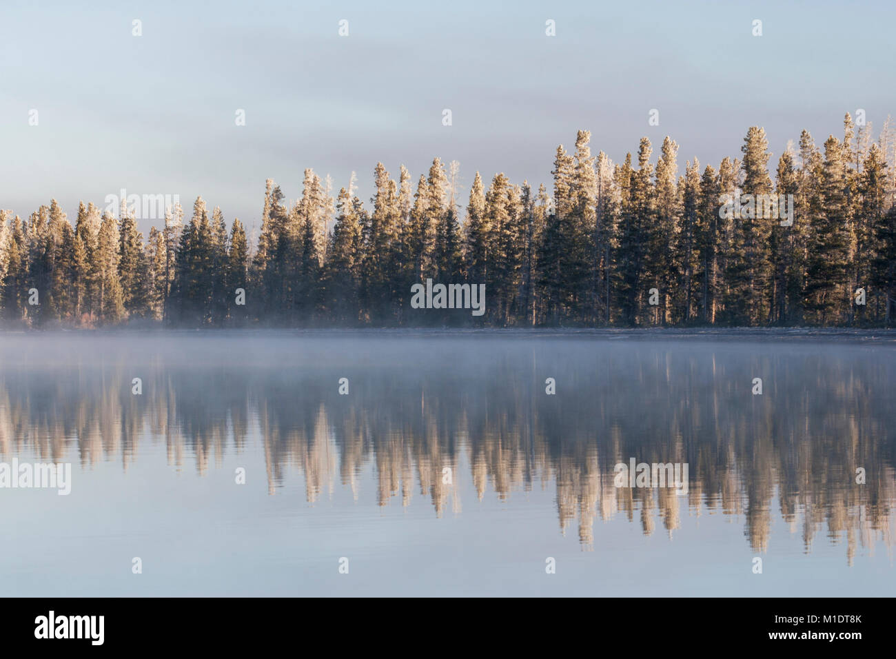 Lewis lake near Yellowstone National park Stock Photo - Alamy