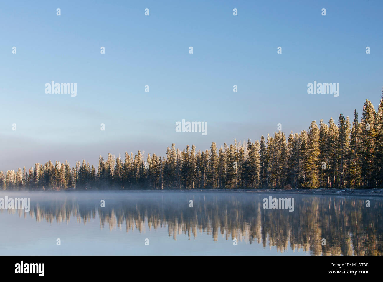 Yellowstone lake view hi-res stock photography and images - Alamy