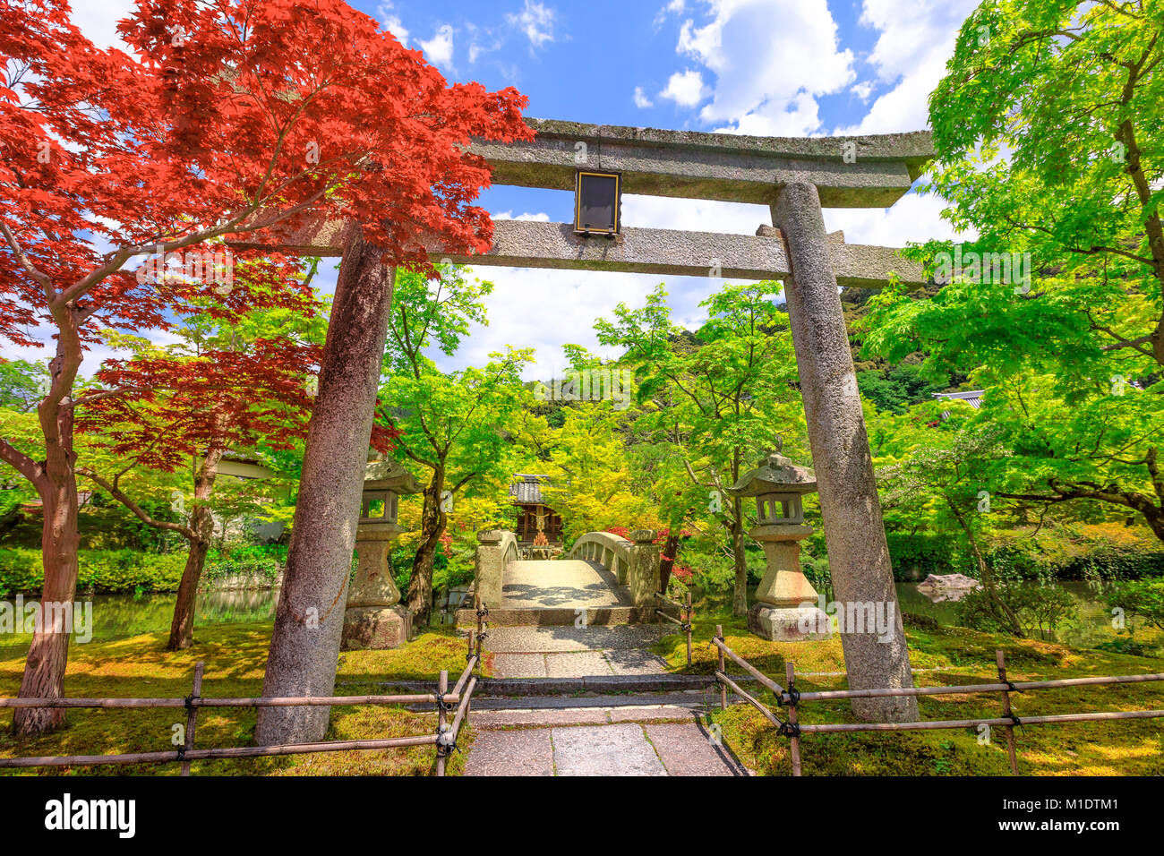 Torii Gate in Eikando Stock Photo - Alamy