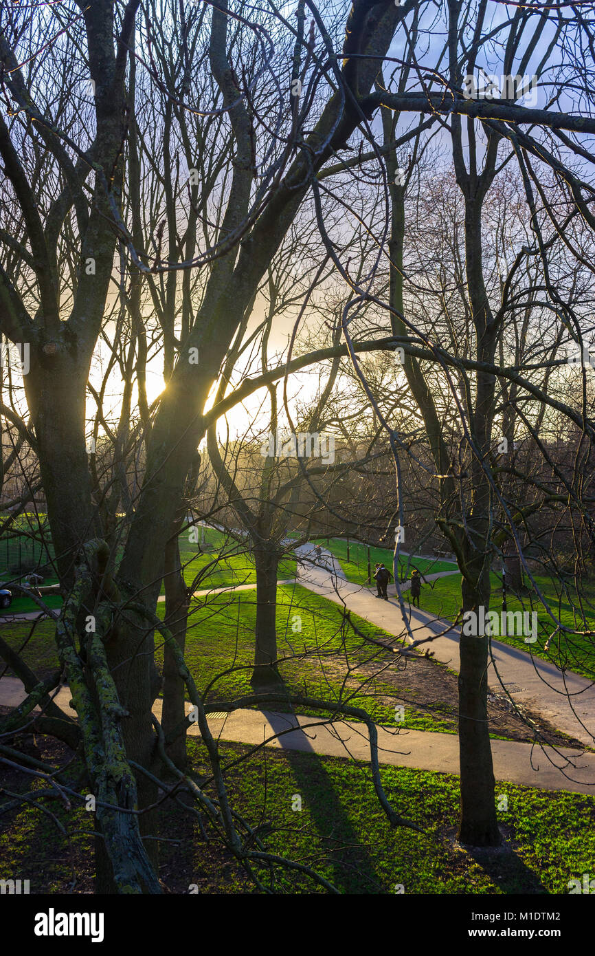 Ladywell fields lewisham trees hi-res stock photography and images - Alamy
