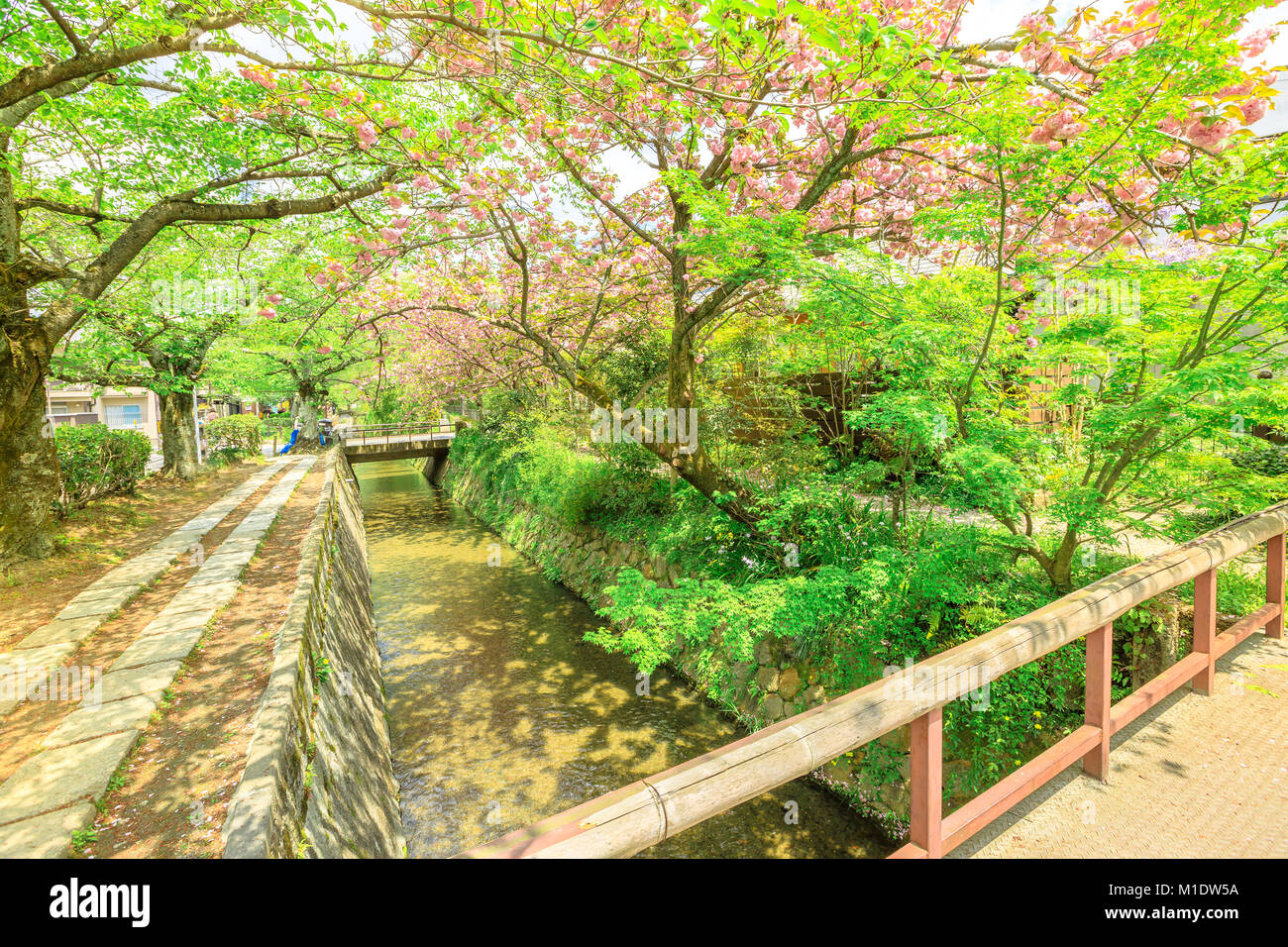 Philosopher's Walk Kyoto Stock Photo - Alamy