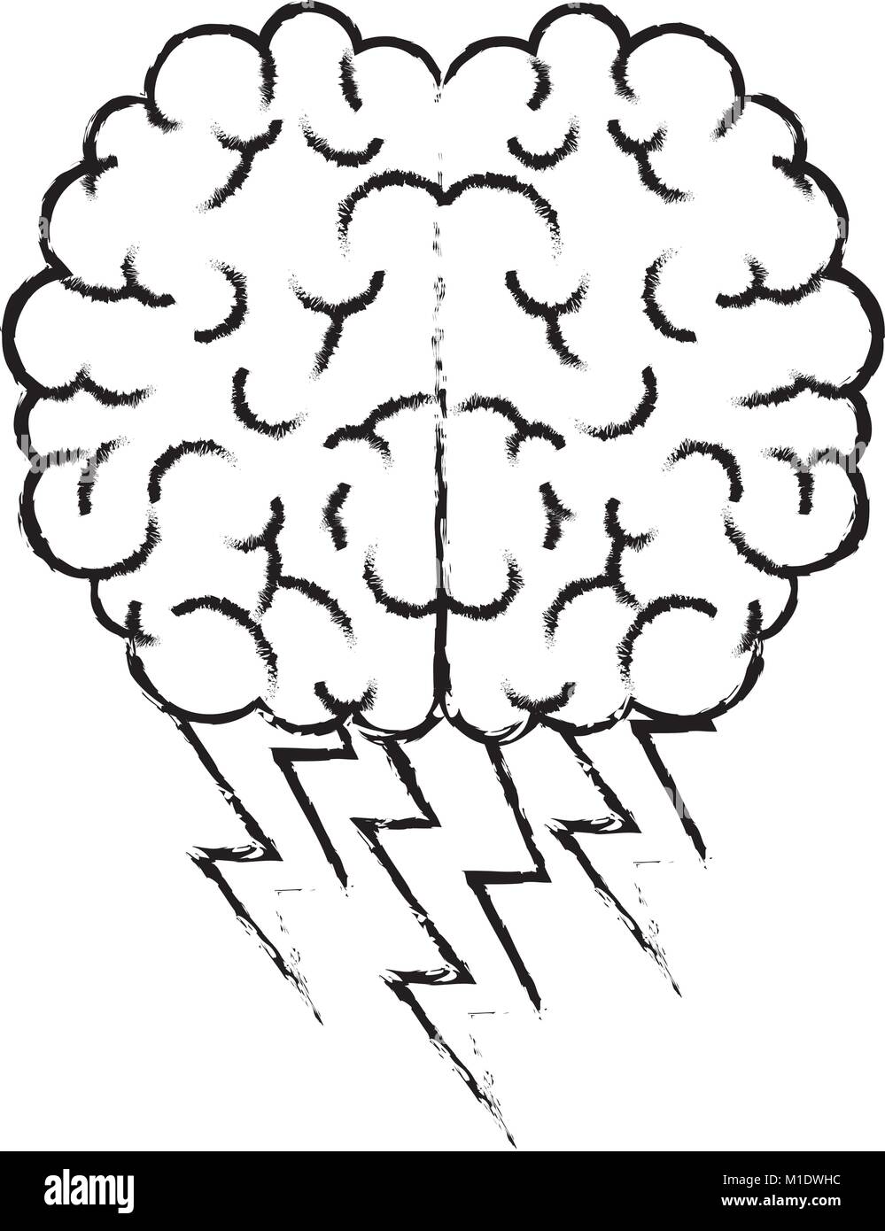 Brain top view in Cut Out Stock Images & Pictures - Alamy