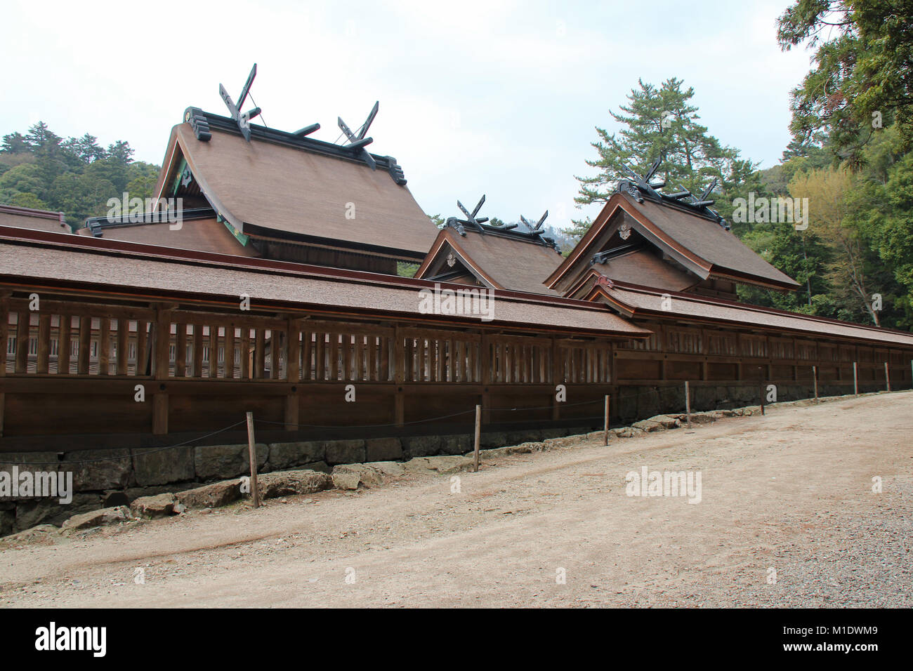In a shintoist shrine (Izumo-taisha) in Izumo (Japan Stock Photo - Alamy