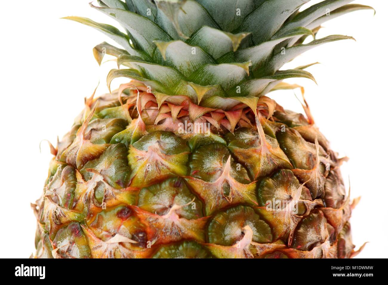 Closeup of pineapple hi-res stock photography and images - Alamy