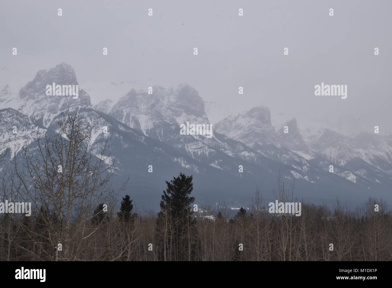 snow Covered Mountains with grey skies and treeline, Three Sisters ...