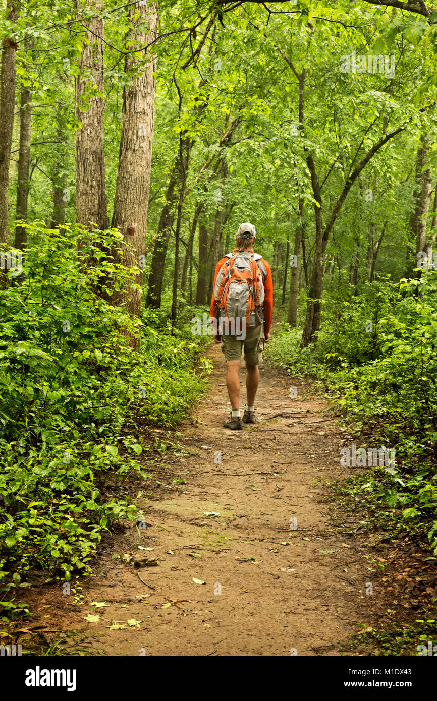 NC01719-00...NORTH CAROLINA - Hiker following the Bluff Loop Trail as ...