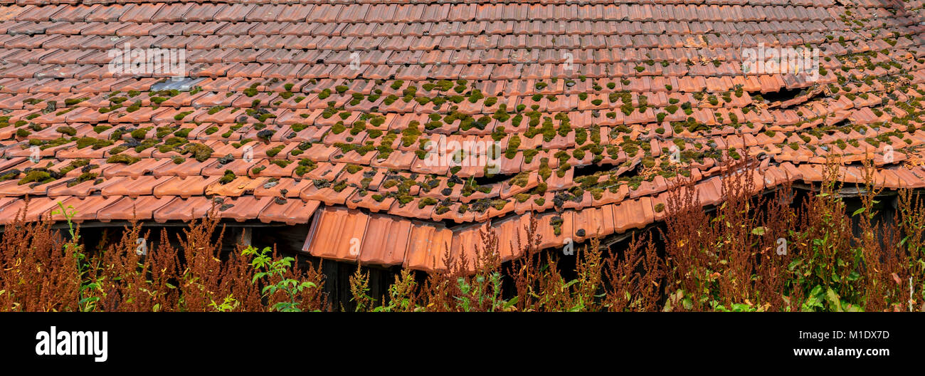 Moss-covered tile roof Stock Photo - Alamy