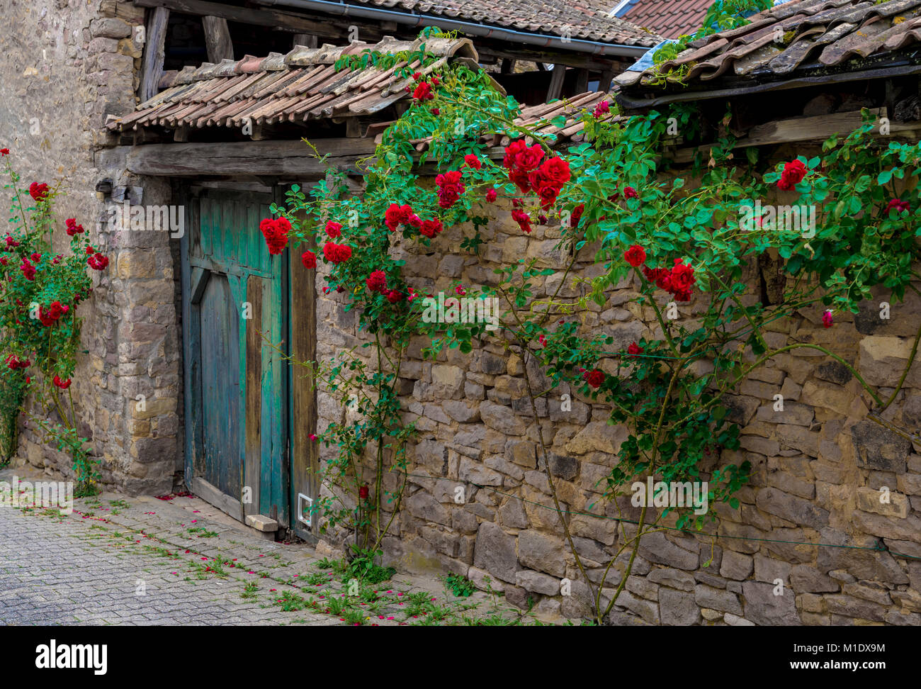 Peasant homestead hi-res stock photography and images - Alamy