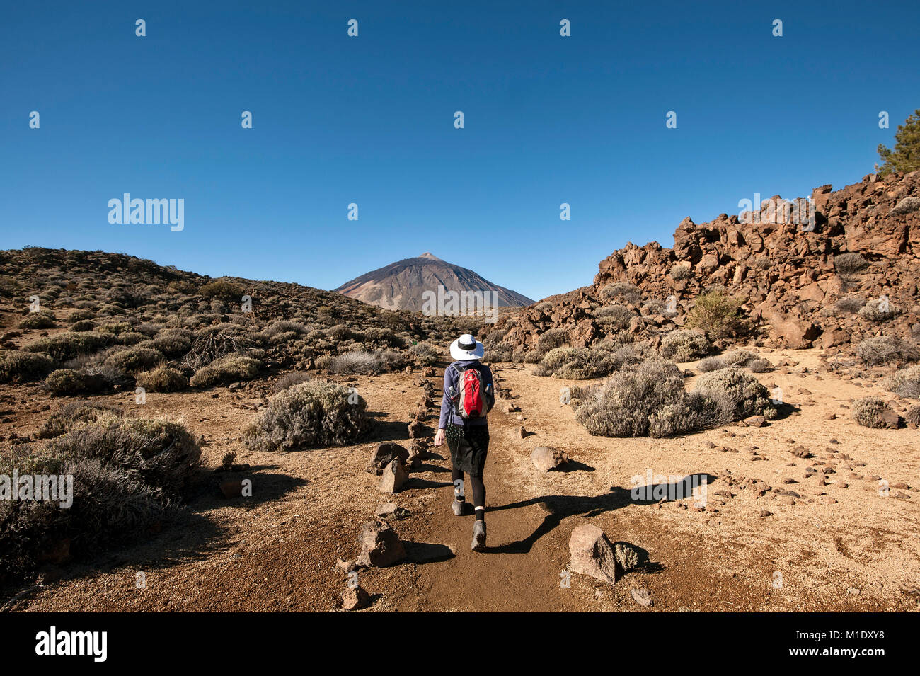 Hike to Huevos del Teide (Teide´s Eggs) in Canadas del Teide National ...
