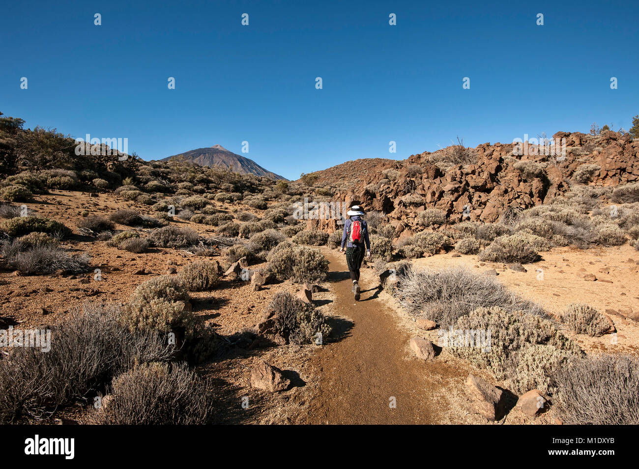 Hike to Huevos del Teide (Teide´s Eggs) in Canadas del Teide National ...