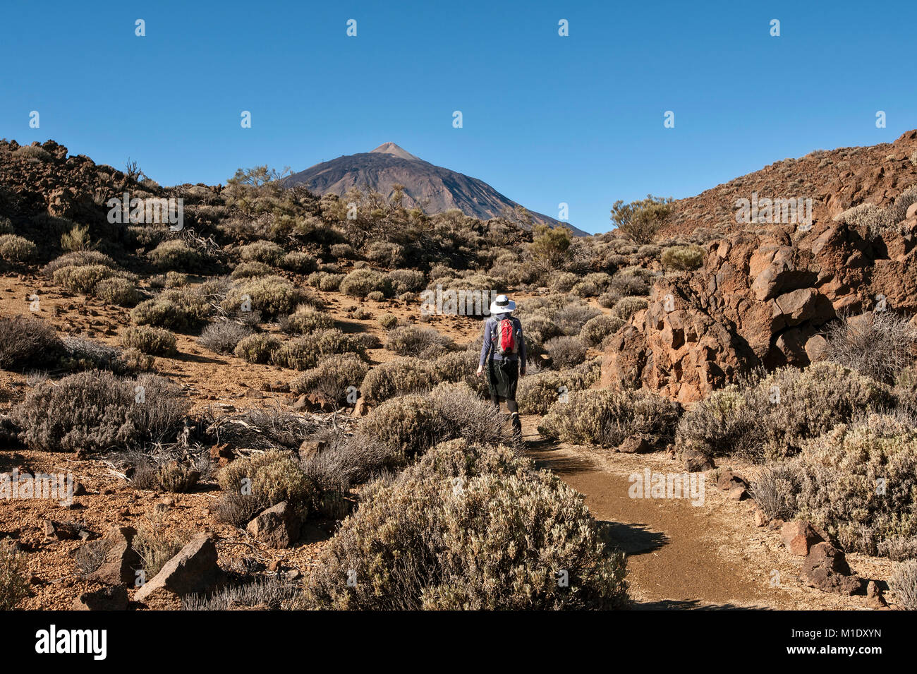 Hike to Huevos del Teide (Teide´s Eggs) in Canadas del Teide National ...
