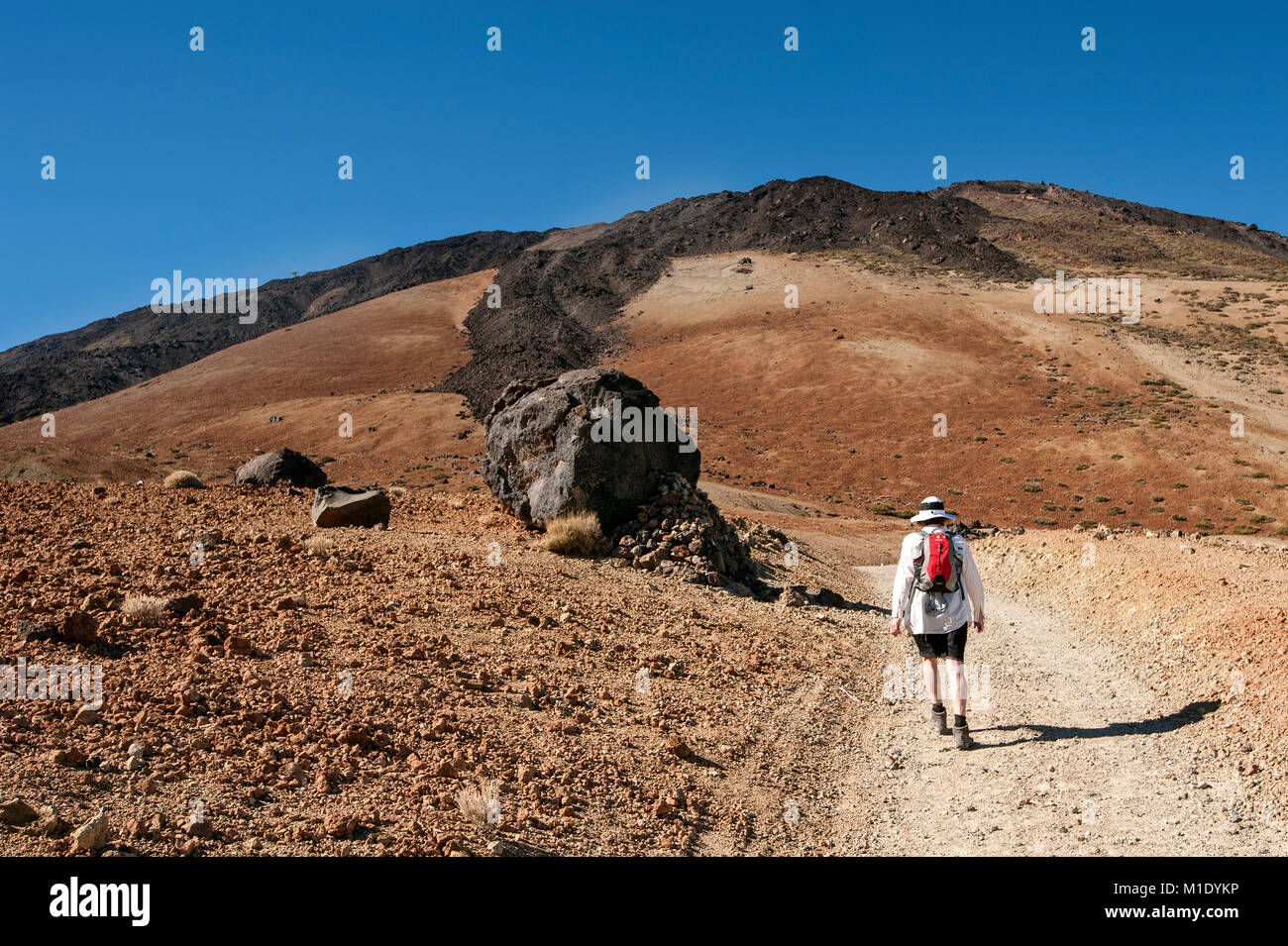 Hike to Huevos del Teide (Teide´s Eggs) in Canadas del Teide National ...