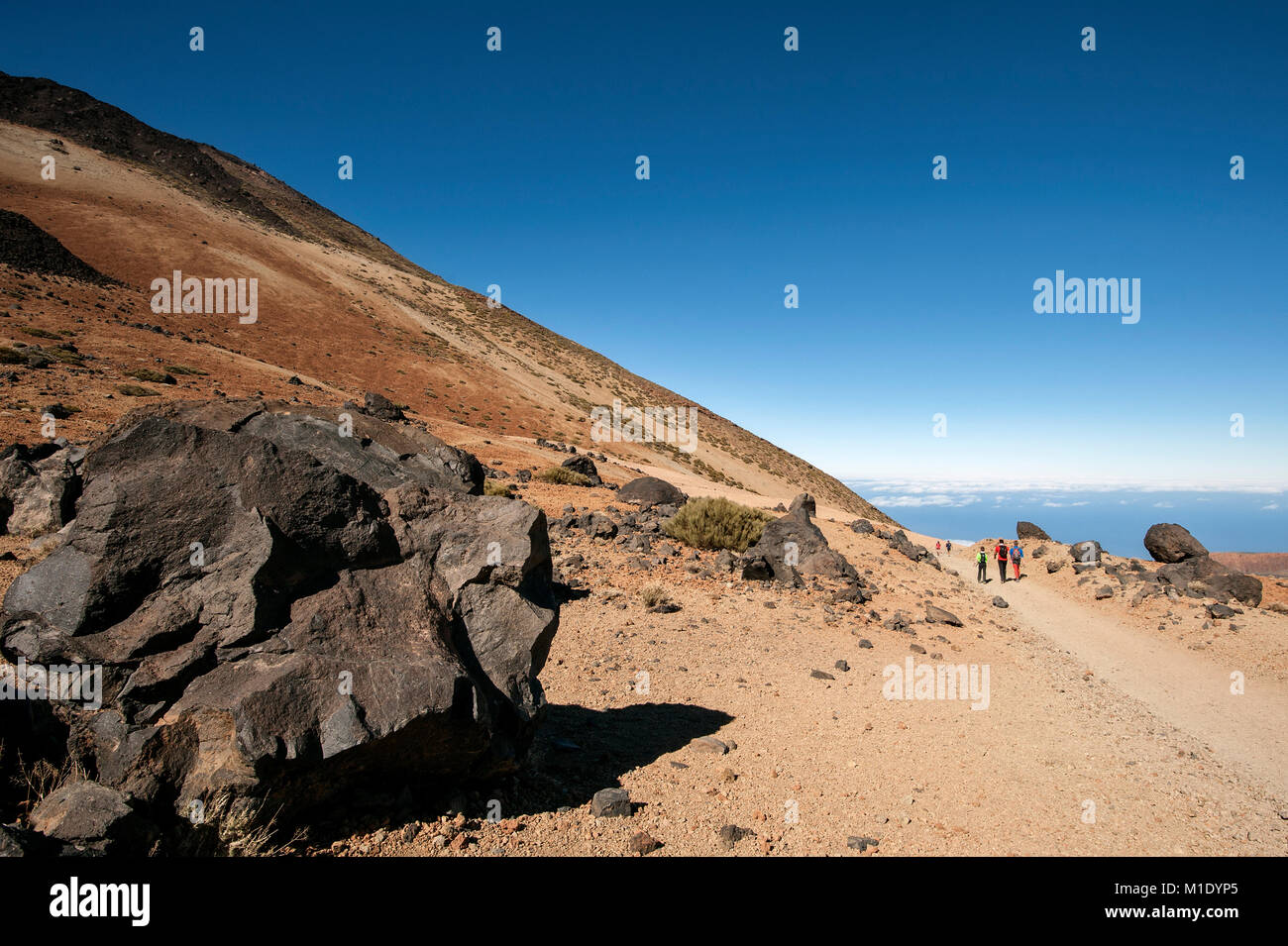 Hike to Huevos del Teide (Teide´s Eggs) in Canadas del Teide National ...