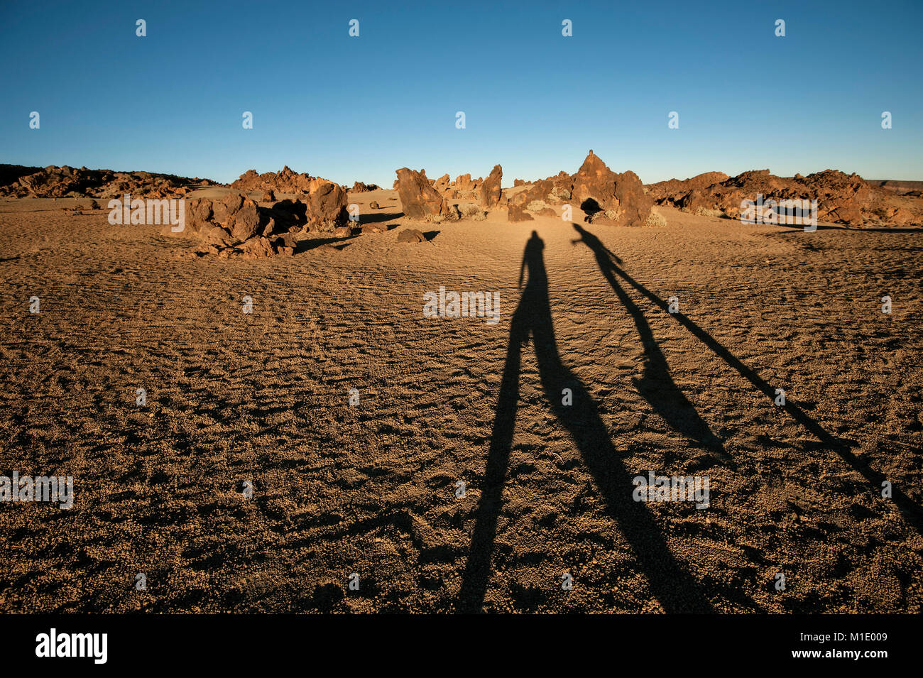 Shadows at sunset in Canadas del Teide National Park Stock Photo - Alamy