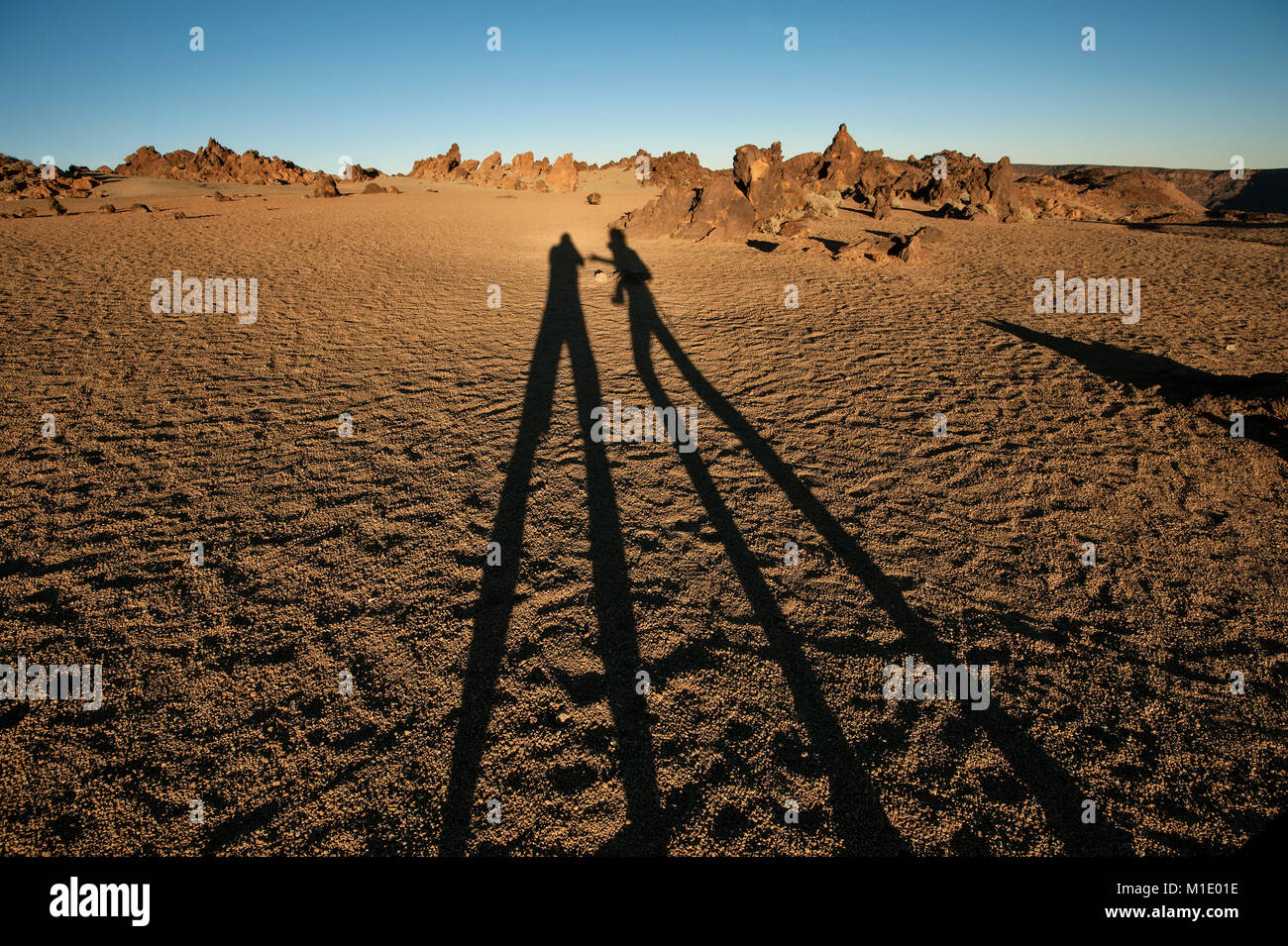 Shadows at sunset in Canadas del Teide National Park Stock Photo - Alamy