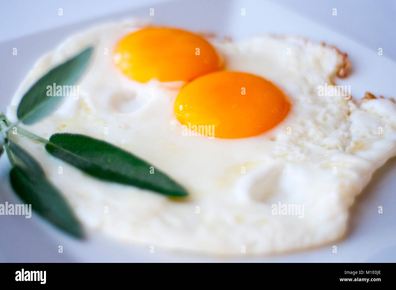 Two fried eggs Stock Photo - Alamy