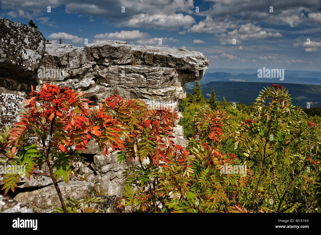 Bear Rocks Dolly Sods West Virginia Stock Photo - Alamy