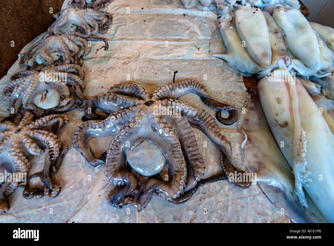 Octopus in fishmarket Stock Photo - Alamy