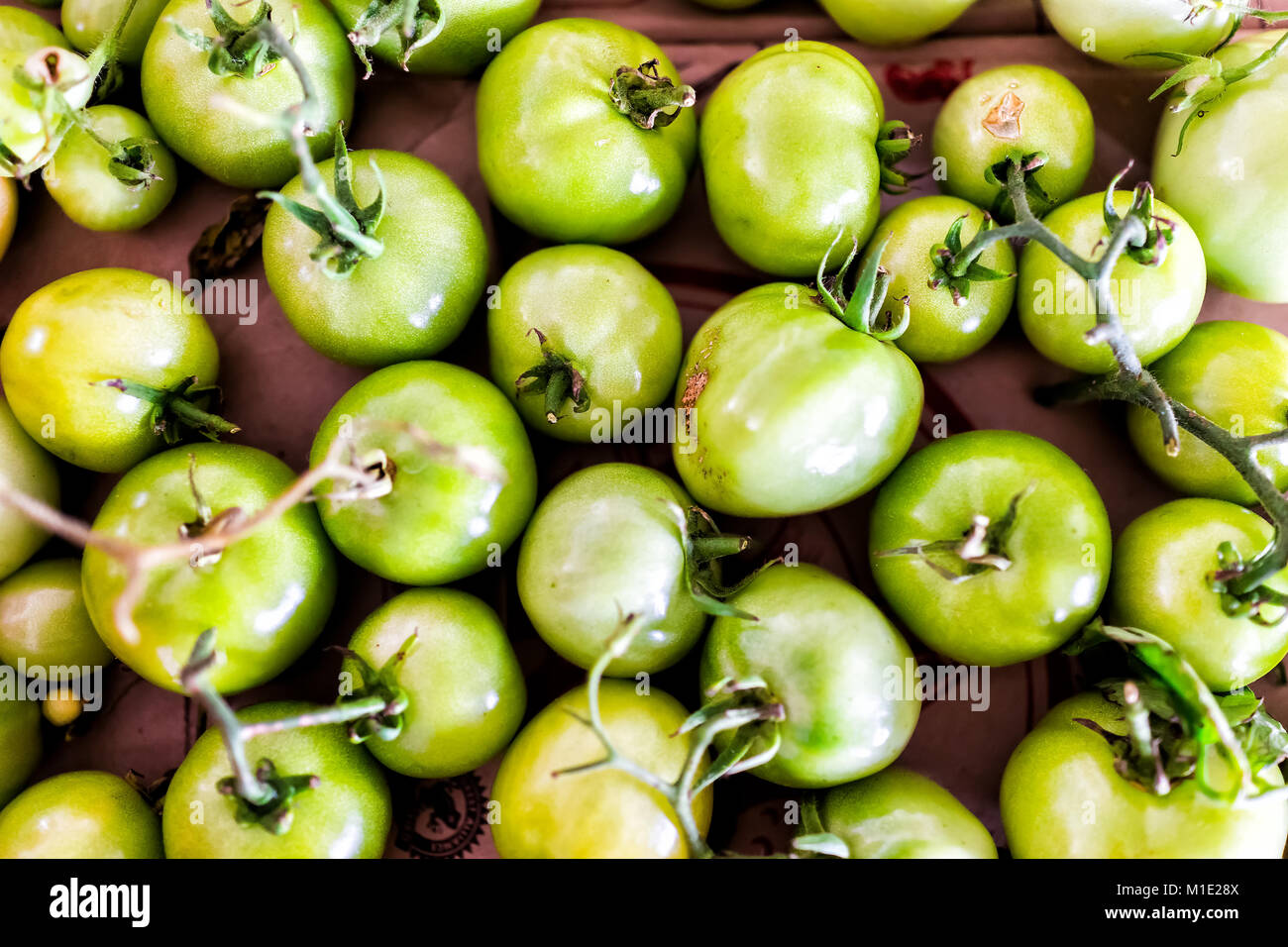 Young tomatoes top view hi-res stock photography and images - Alamy