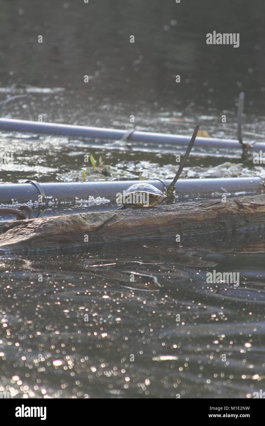 Deep water canal hi-res stock photography and images - Alamy