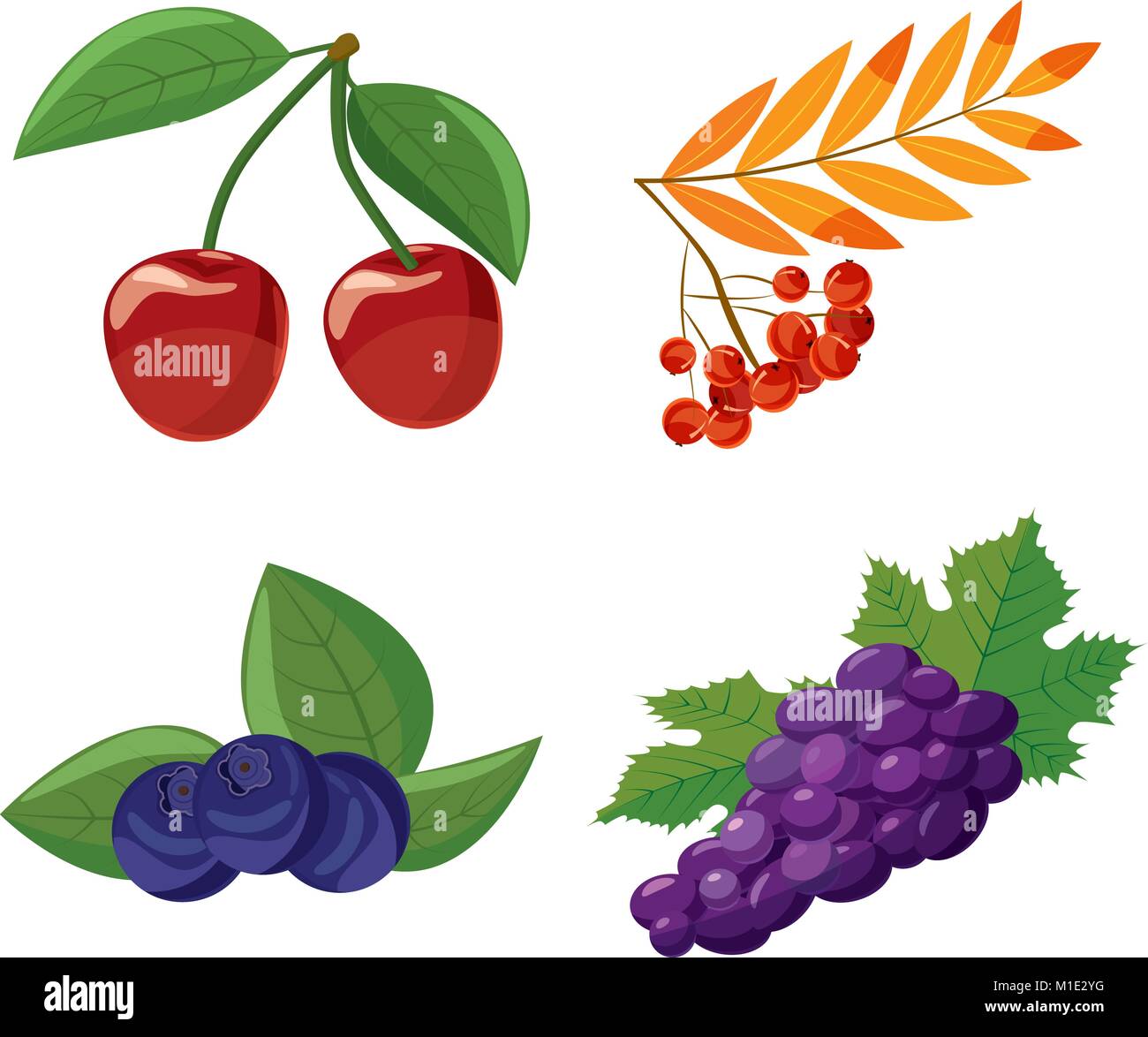 Berries icon set, cartoon style Stock Vector Image & Art - Alamy