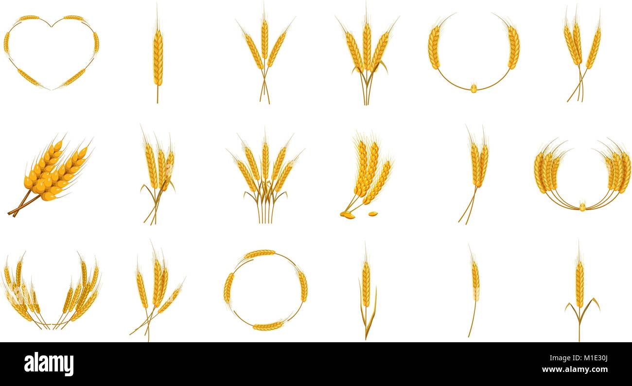 Wheat icon set, cartoon style Stock Vector Image & Art - Alamy