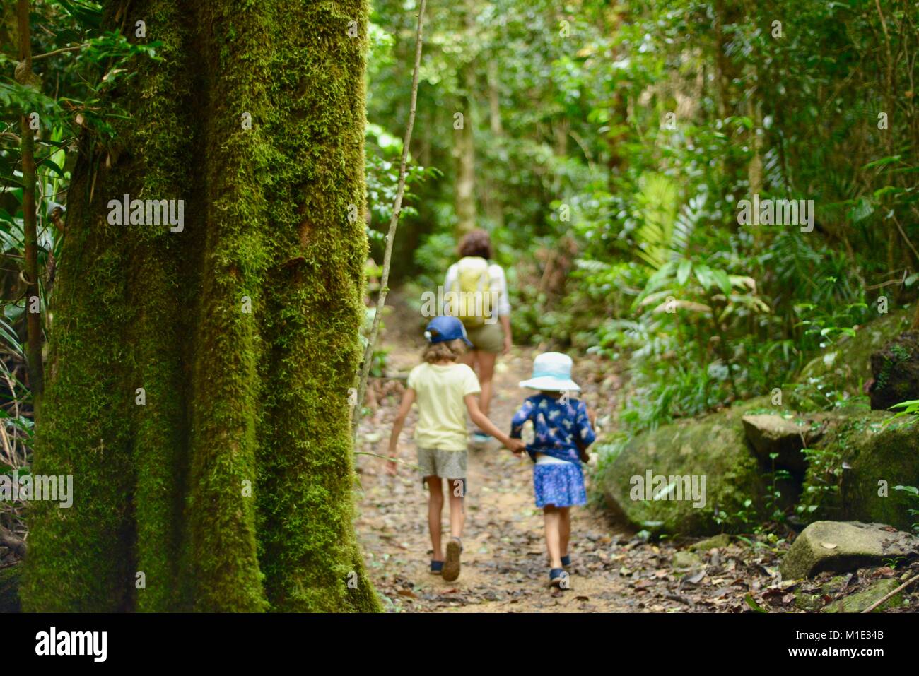 Mother and daughters hiking along a track, Paluma range national park ...