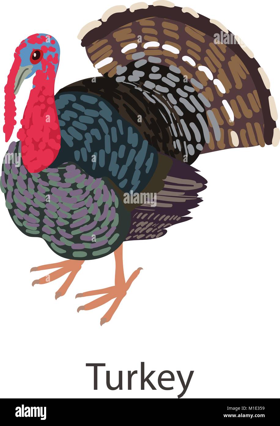 Turkey icon, isometric style Stock Vector Image & Art - Alamy