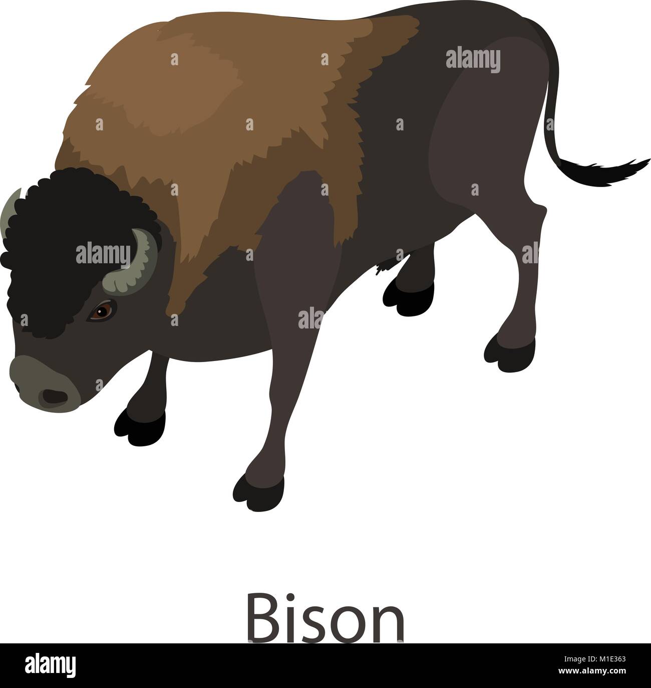 American bison bison bison standing Stock Vector Images - Alamy