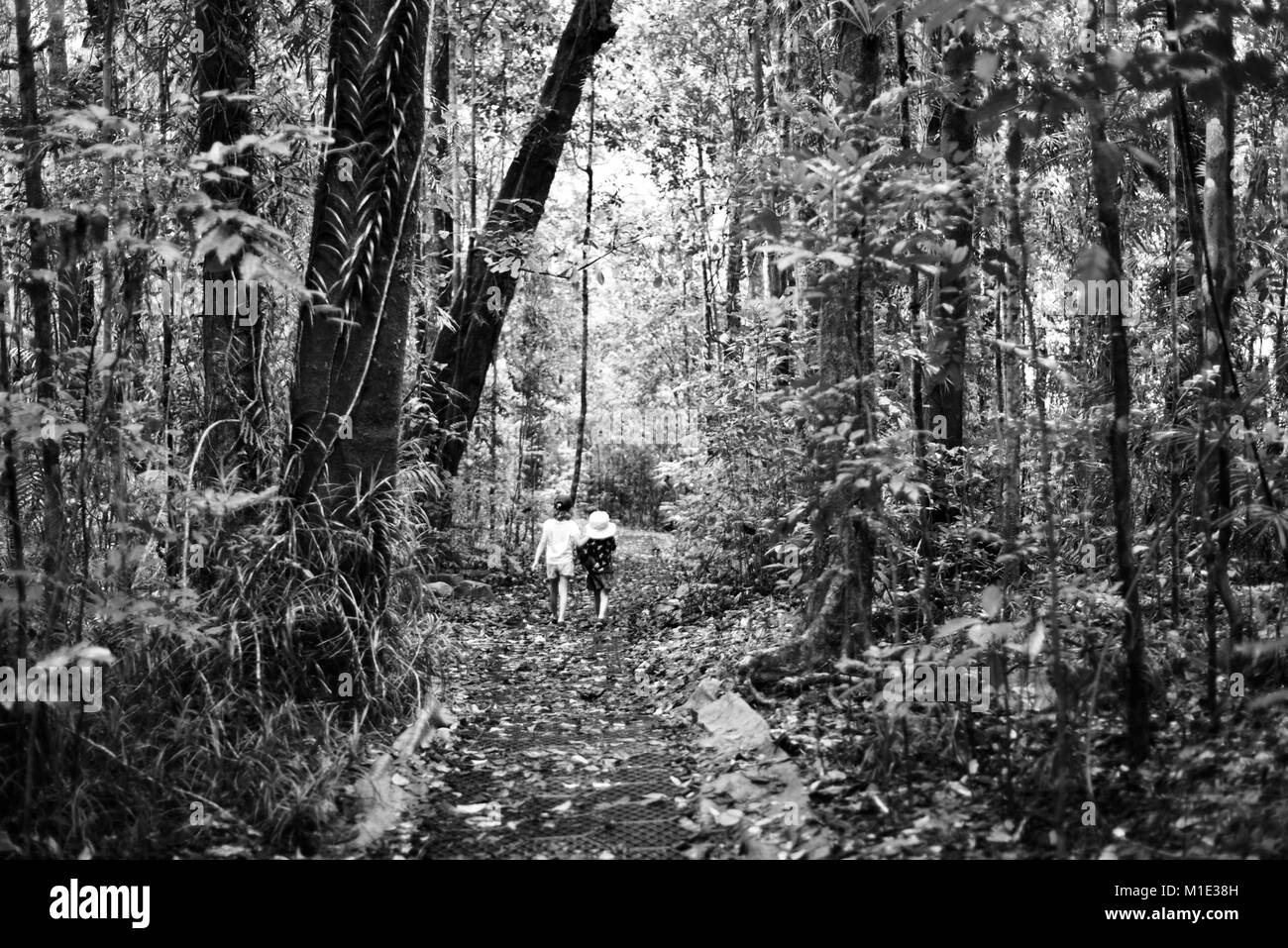 Two girls walking along a track in a rainforest, black and white ...